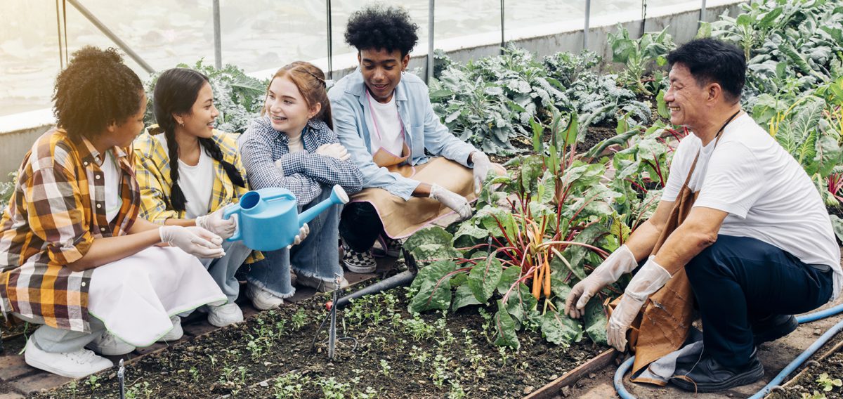 Project Areas - PSAYDN website